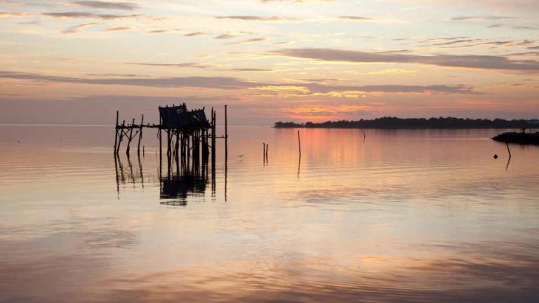 Travel Guide for Cedar Key Florida: Your Essential Itinerary – Endless ...