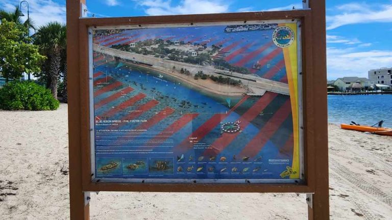 Phil Foster Memorial Park – Riviera Beach, Florida (Activities and ...